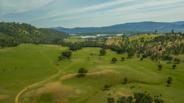 Northern California Ranches for Sale - NorCal Ranchers Property
