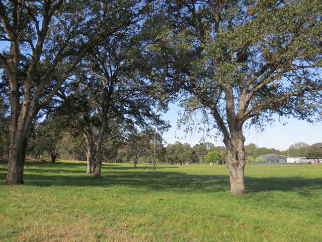 Whispering Oaks Ranch - California Outdoor Properties