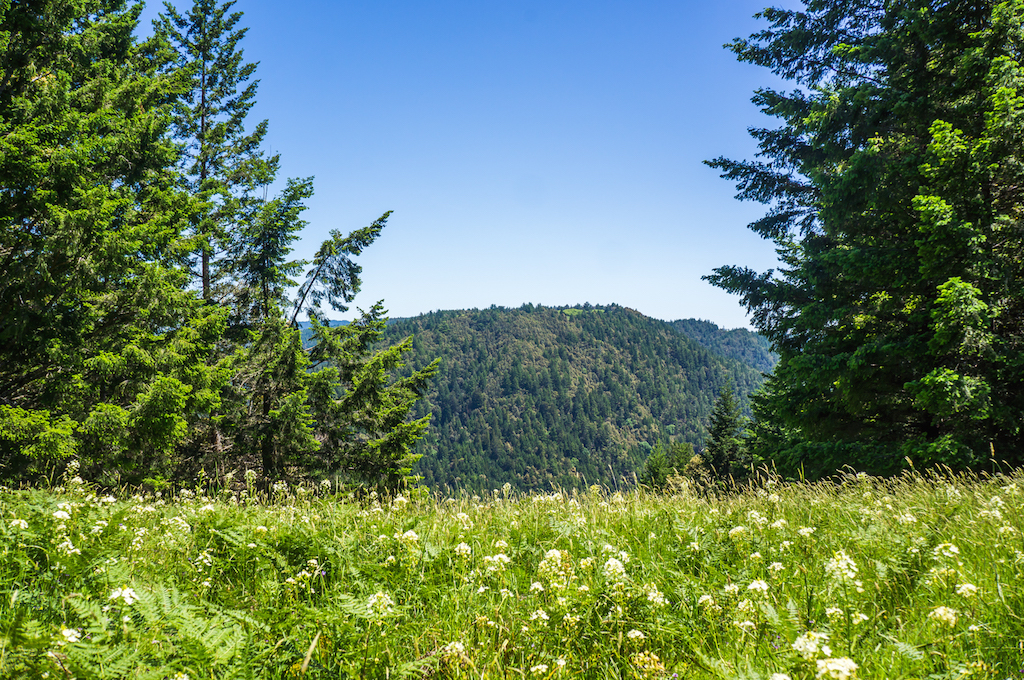 Biaggi Ranch - California Outdoor Properties