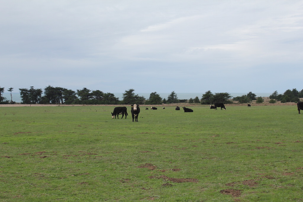 Biaggi Ranch - California Outdoor Properties