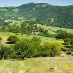 Basin Ranch - California Outdoor Properties