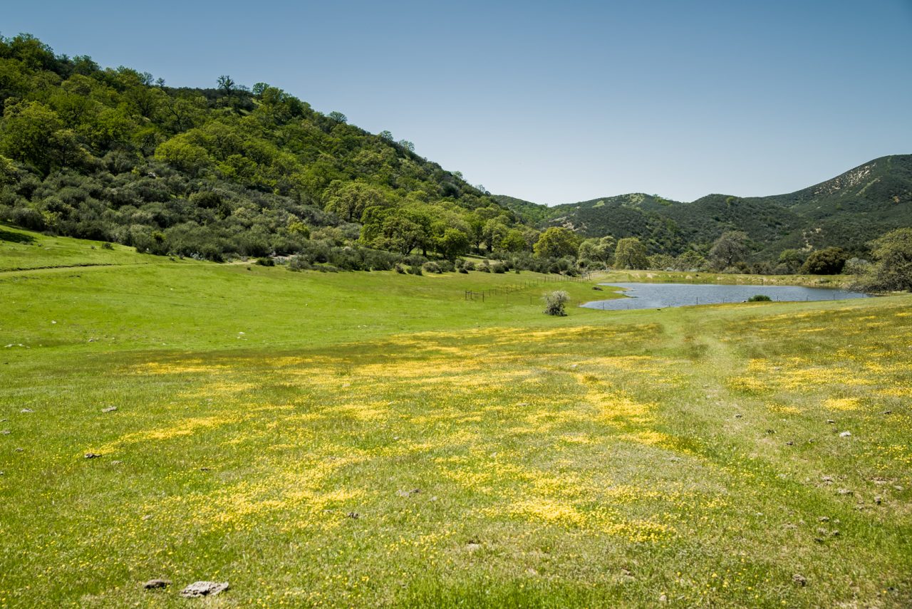 Basin Ranch - California Outdoor Properties