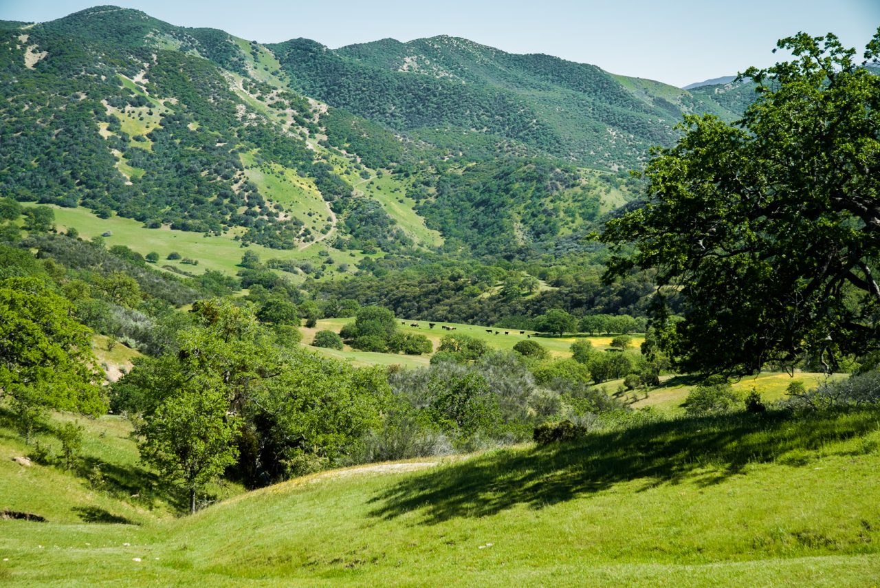 Basin Ranch - California Outdoor Properties