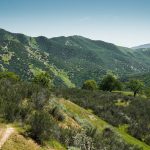 Basin Ranch - California Outdoor Properties