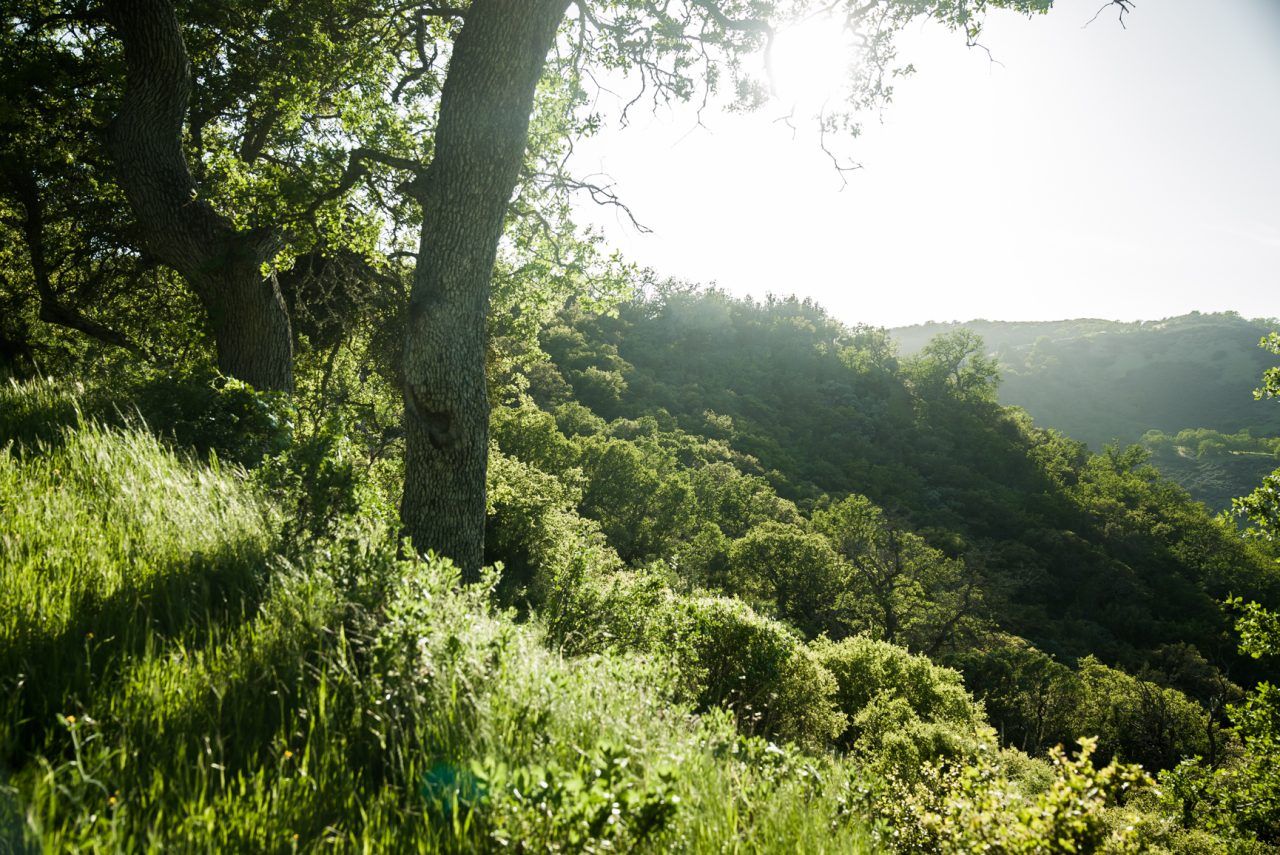 Basin Ranch - California Outdoor Properties