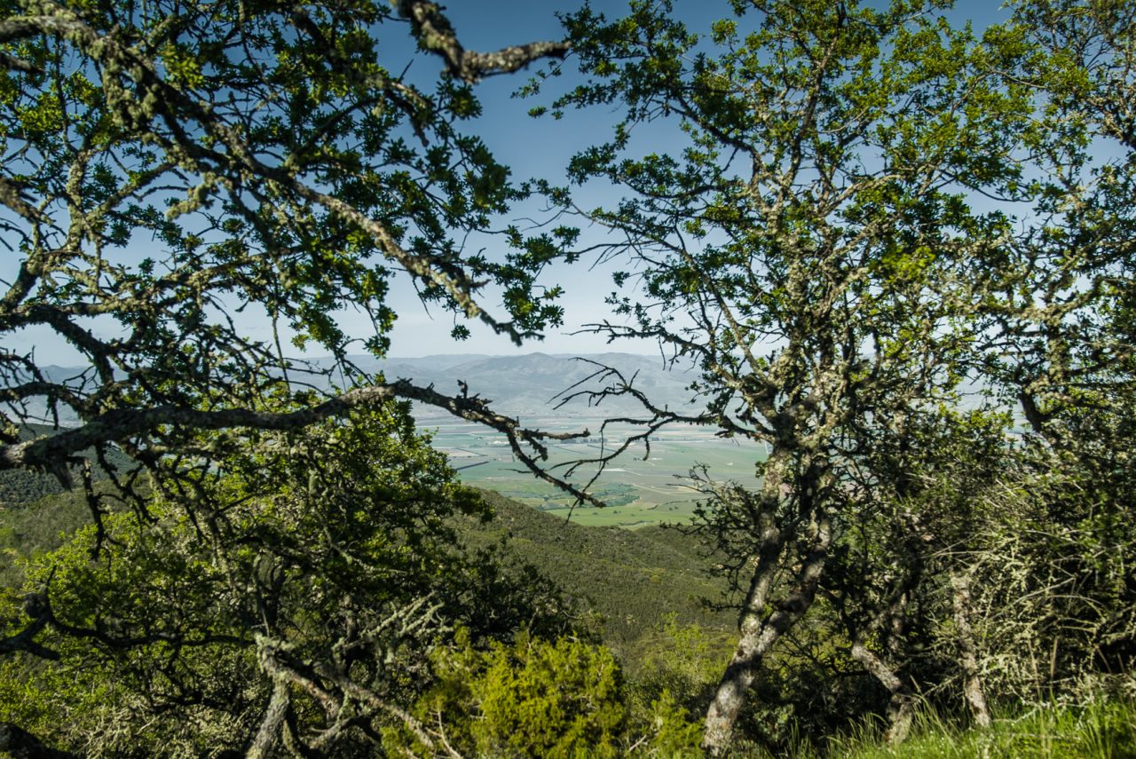 Basin Ranch - California Outdoor Properties