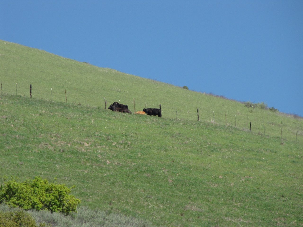 Basin Ranch - California Outdoor Properties