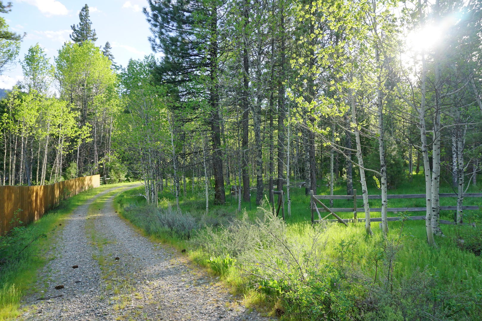 Calpine Hideaway - California Outdoor Properties