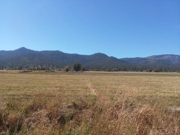 Northern California Ranches for Sale - NorCal Ranchers Property