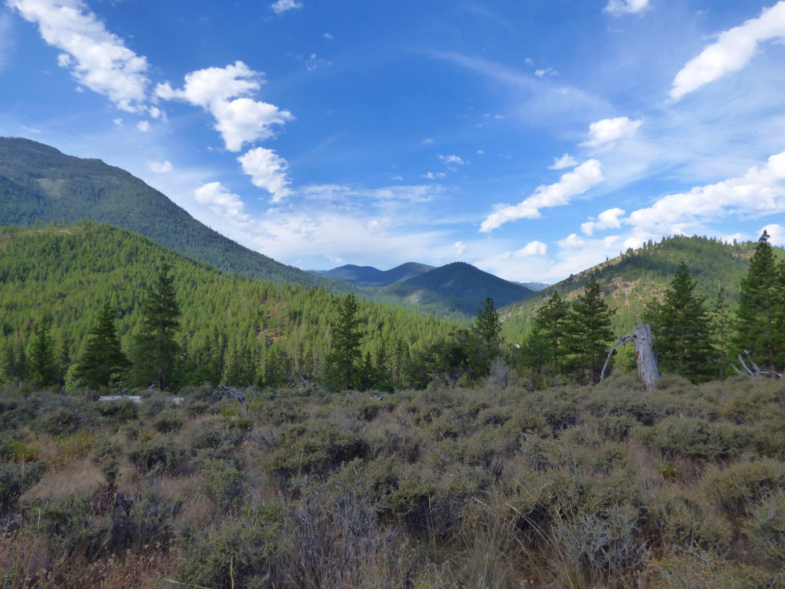 Callahan Homesite - California Outdoor Properties