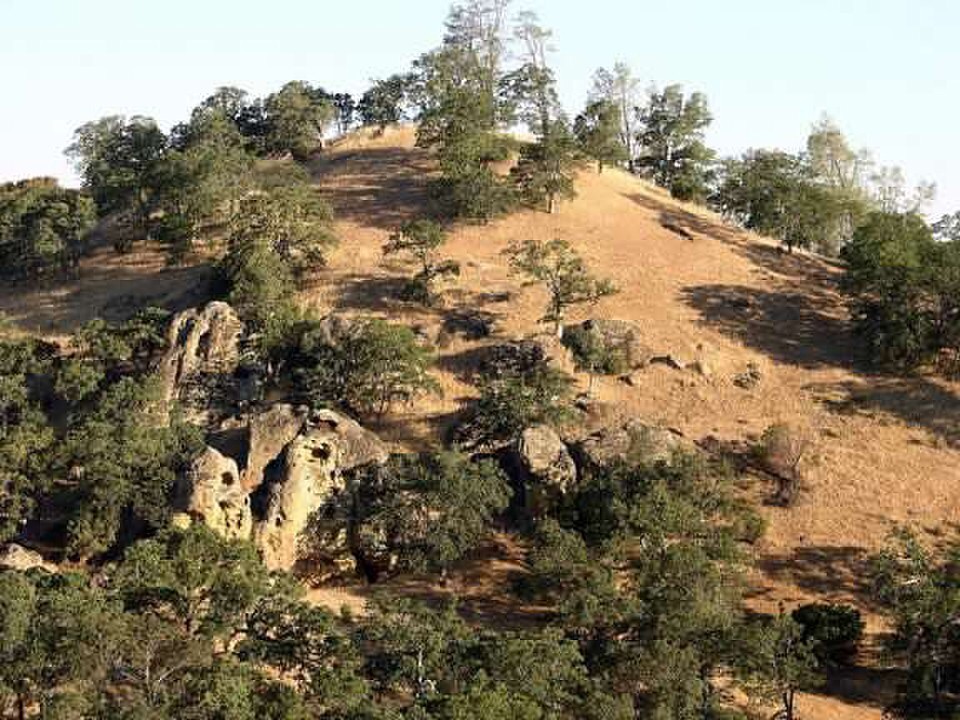 Pine Ranch - California Outdoor Properties