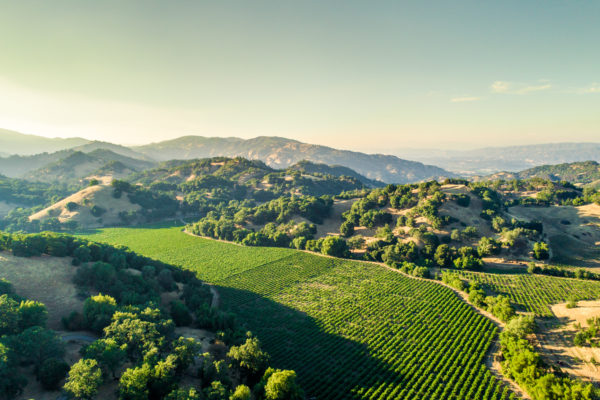 Northern California Ranches for Sale - NorCal Ranchers Property