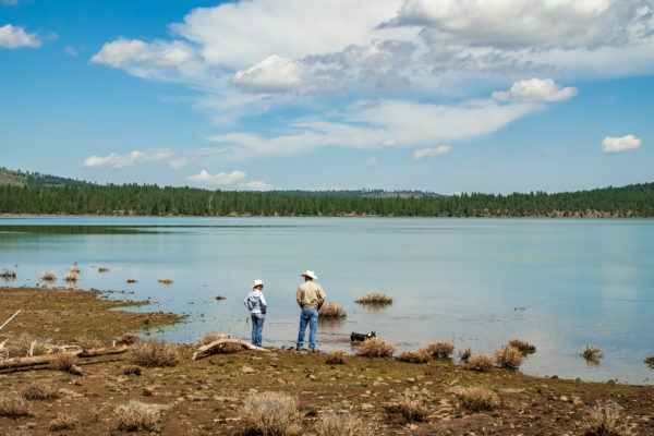 Northern California Ranches for Sale - NorCal Ranchers Property