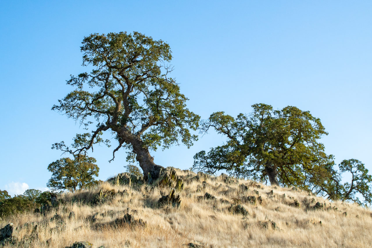 Kelsey Ranch - California Outdoor Properties
