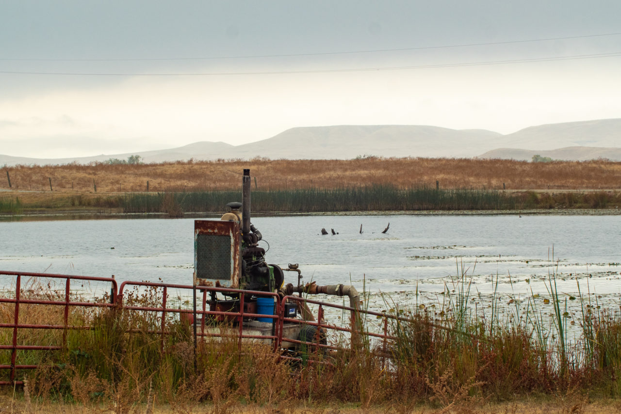 Kelsey Ranch - California Outdoor Properties