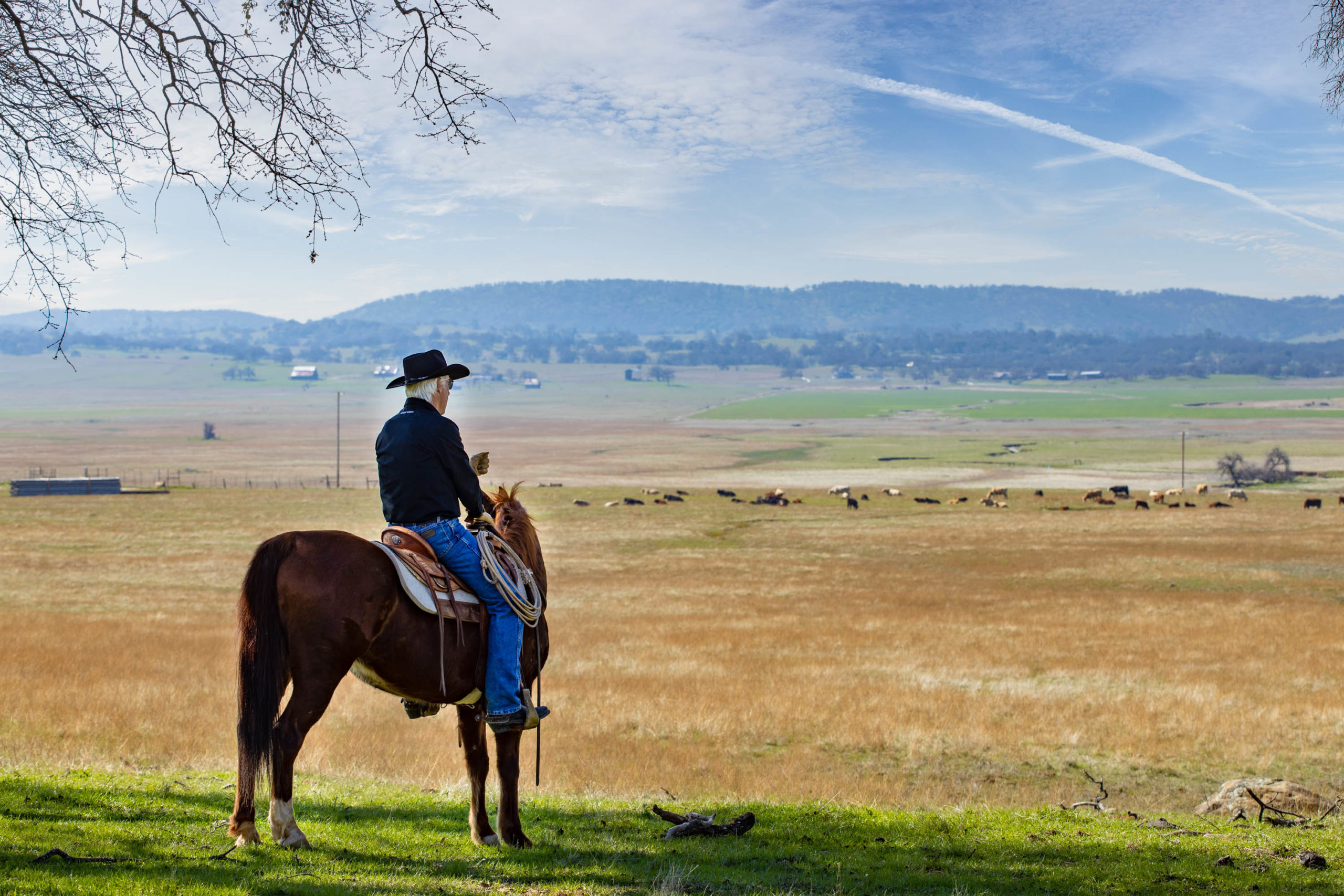 Carmen City Ranch - California Outdoor Properties