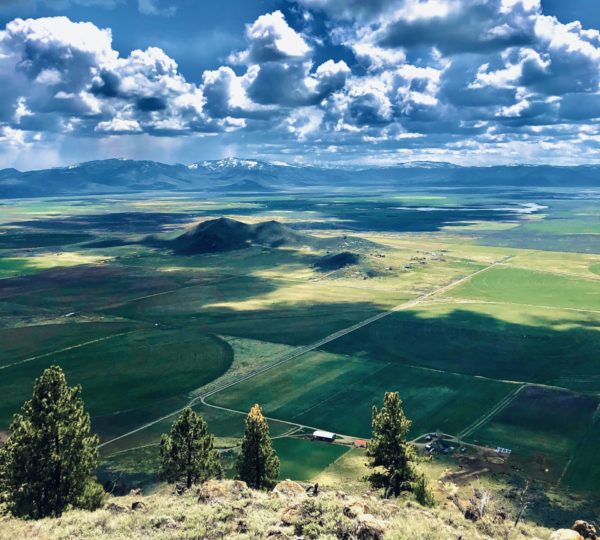 CA Agricultural land - Ranches for sale CA - Farm land