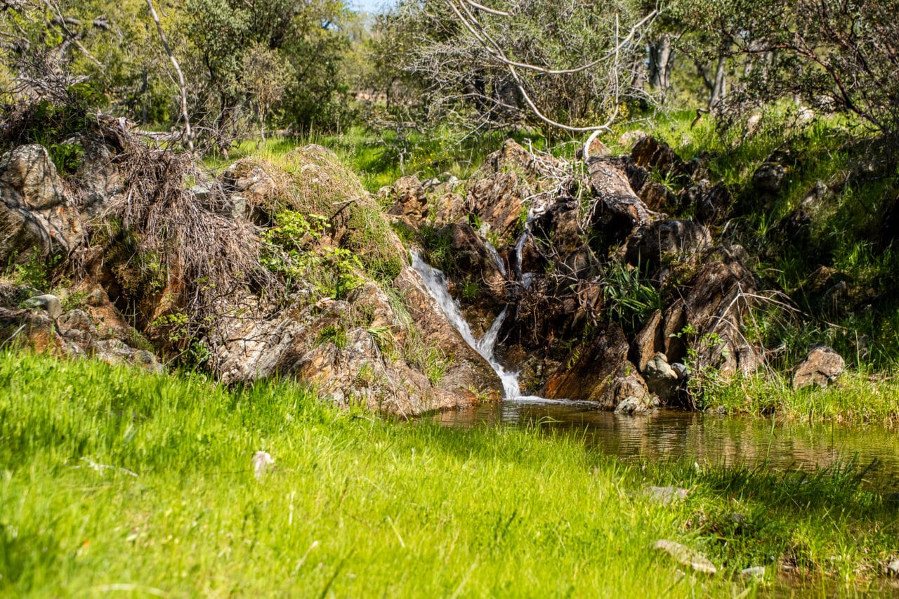 Walker Trail Ranch - California Outdoor Properties